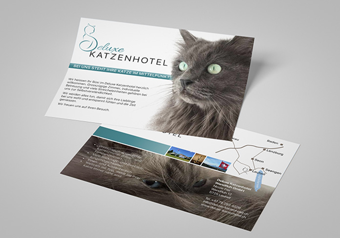 Deluxe Katzenhotel in Leutwil, ein wahrliches Ferienparadies für Katzen.